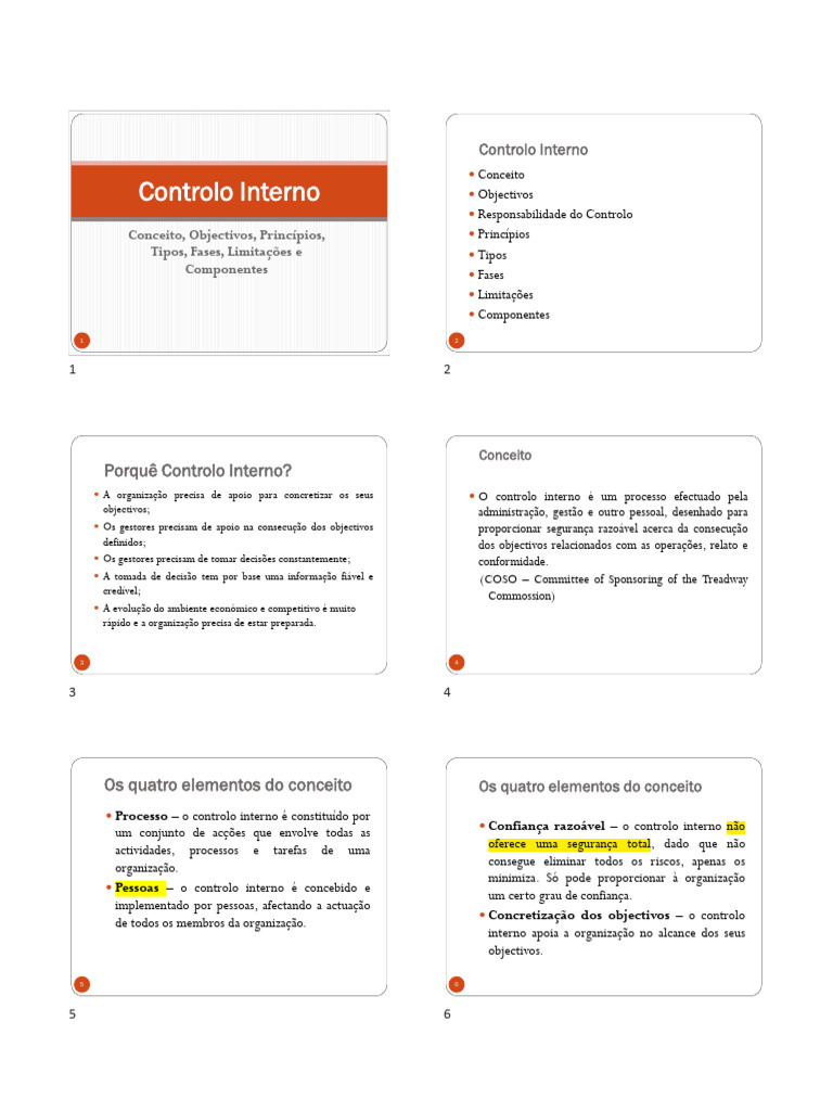 Controlo Interno | PDF