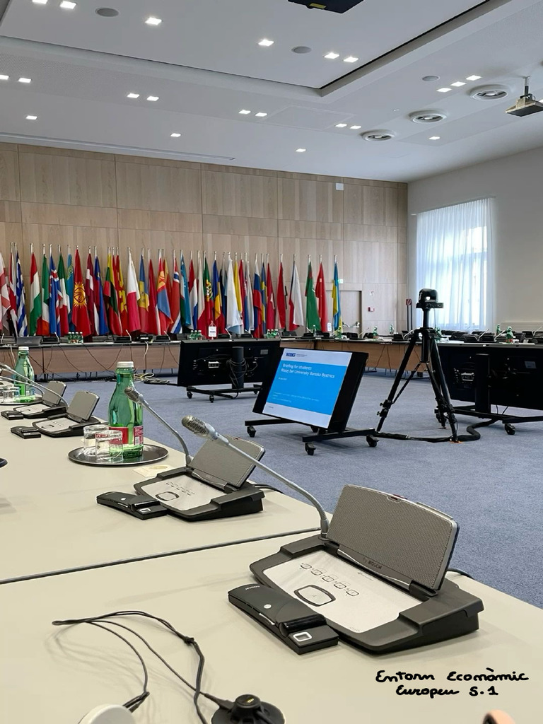 European Union Basics ?? | PDF