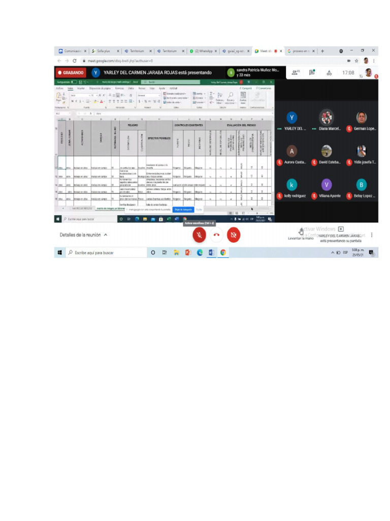 Matriz de Peligro Sena | PDF
