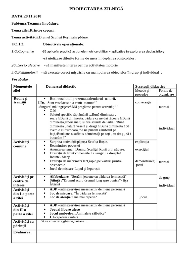 Proiectarea Zilnică 8 | PDF