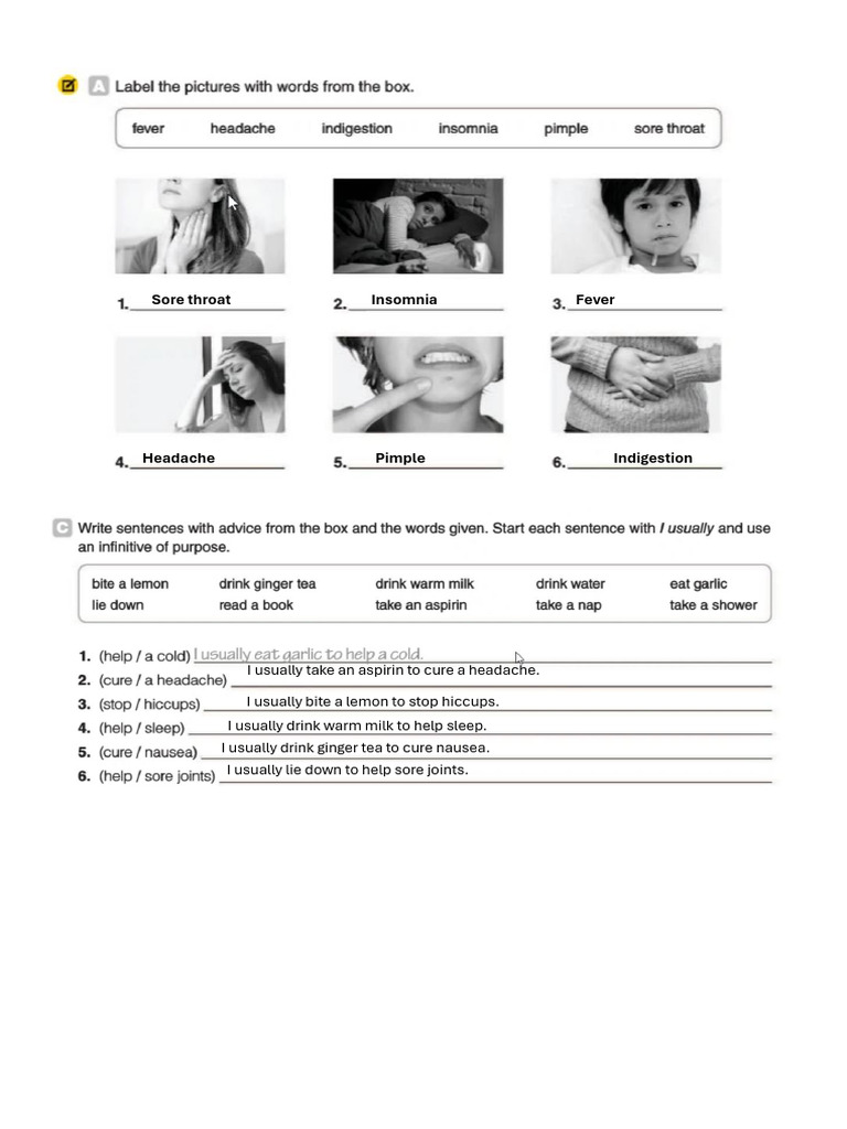 Myelt 4 and Review | PDF