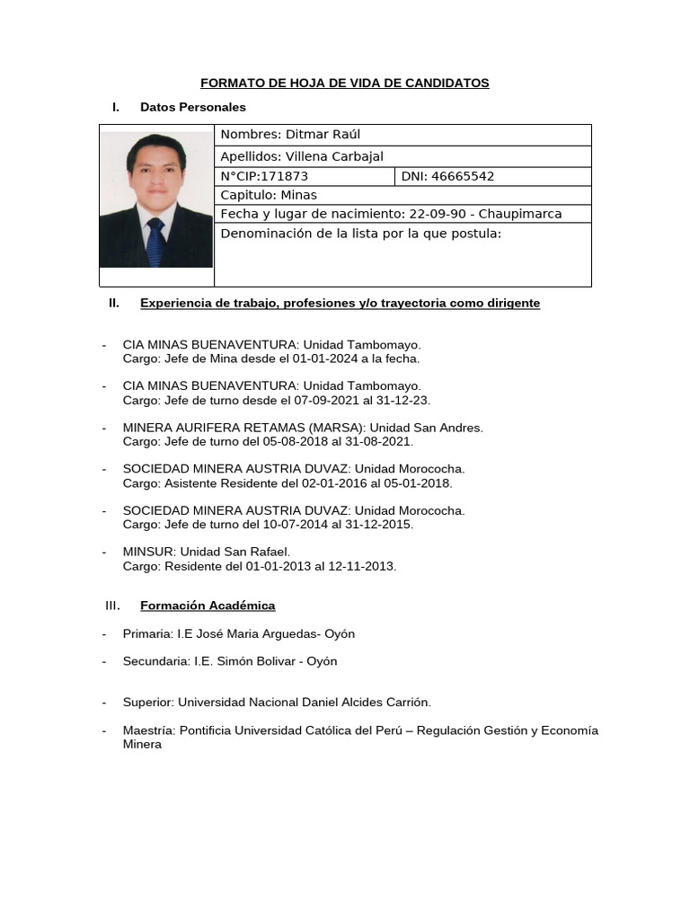 Formatos Cip | PDF