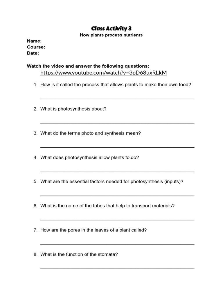 Class Activity 3 - Photosynthesis Questions | PDF