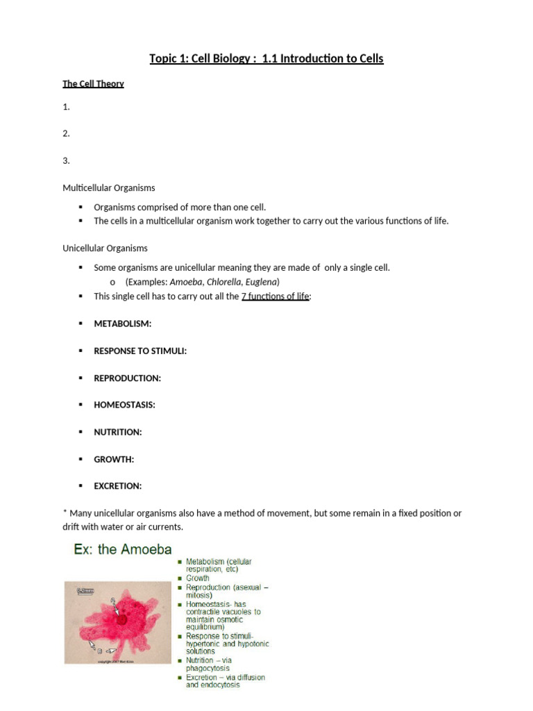 1.1 Intro To Cells (Student HO) | PDF