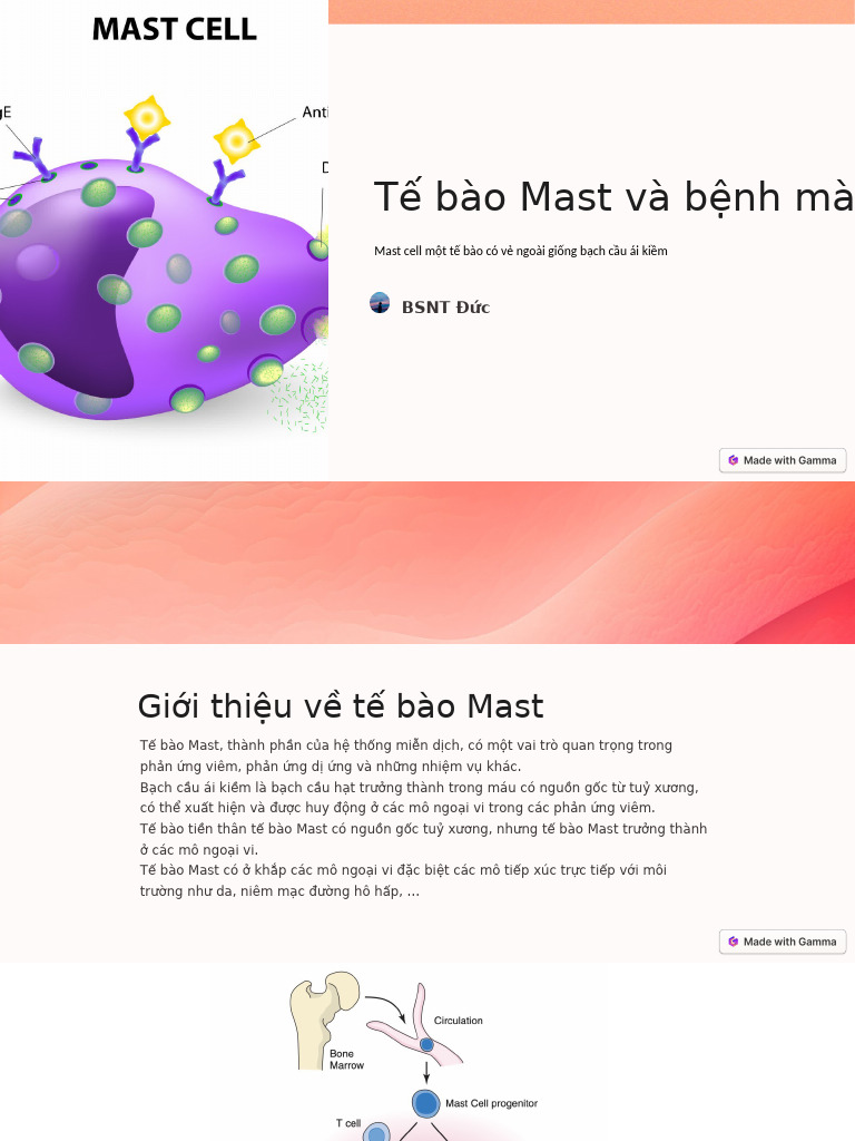 Tế bào Mast | PDF