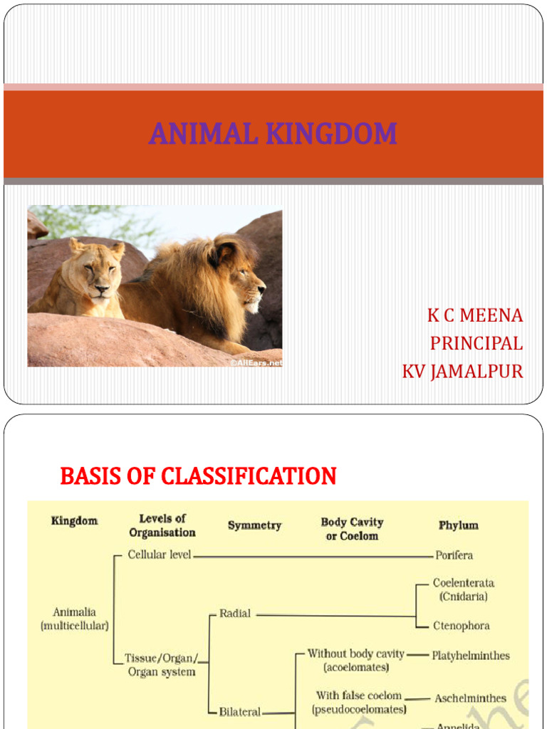 Chapter 4 Animal Kingdom | PDF | Vertebrates
