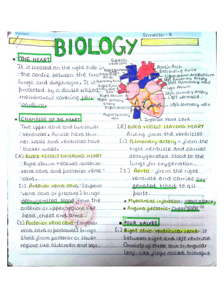 Biology Notes PDF | PDF