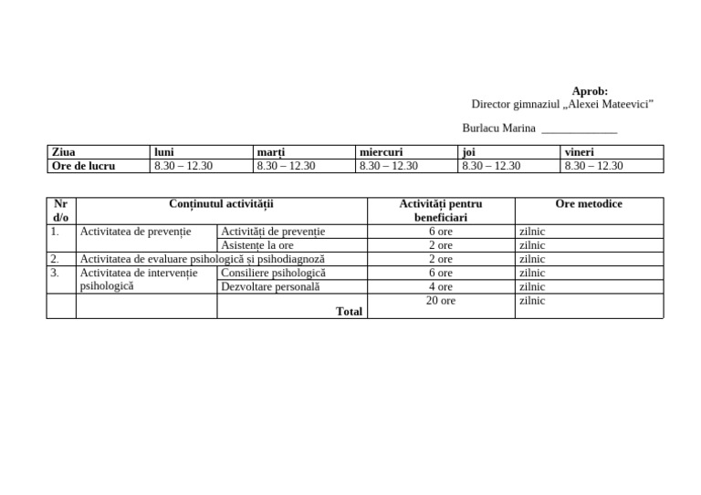 Exemplu de Program de Lucru | PDF
