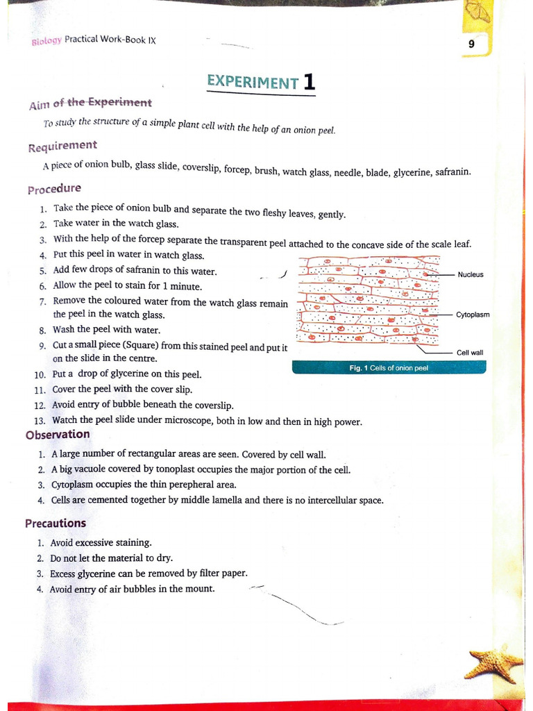 Biology practical work class 9 pdf (1) | PDF