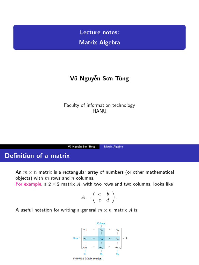 Matrix Algebra | PDF
