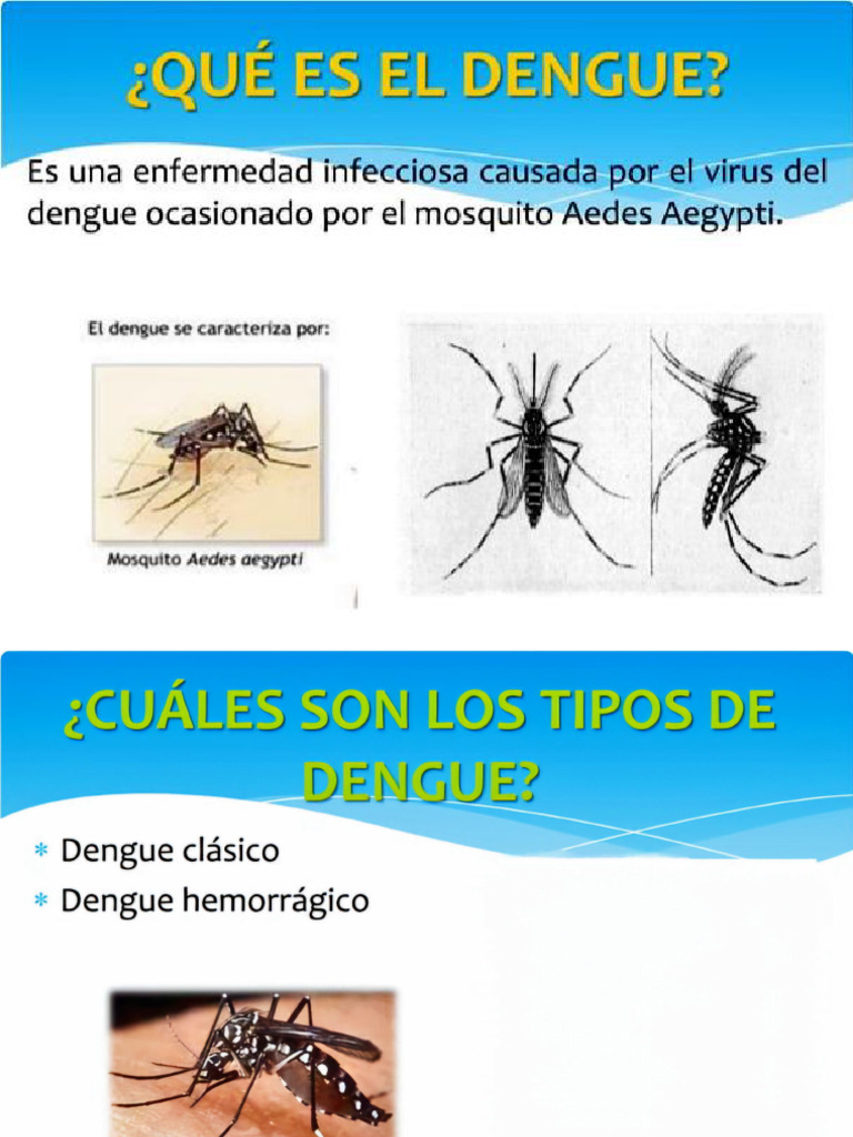 Doc-20240728-Wa0002. 2 | PDF