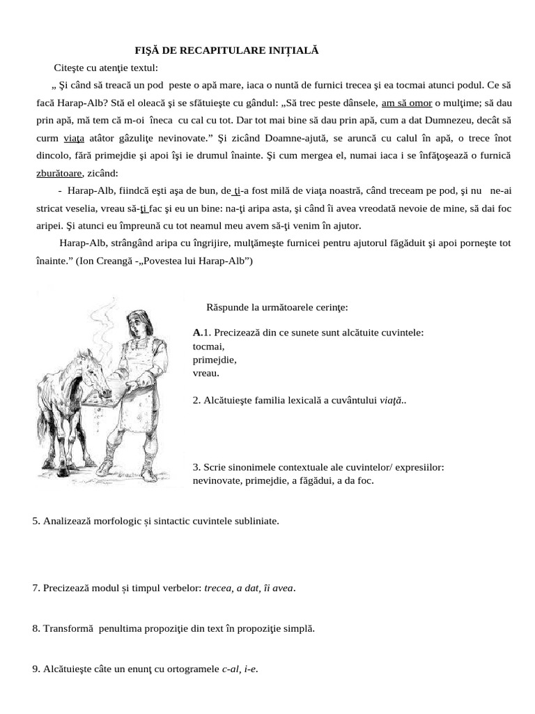 Fisa de Recapitulare Initiala Clasa A Via | PDF