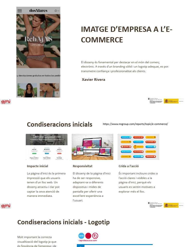 La Importancia Del Disseny en Un Comerc Electronic (2) | PDF