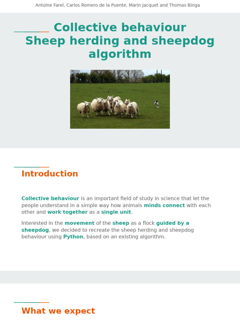 Collective behaviour | PDF