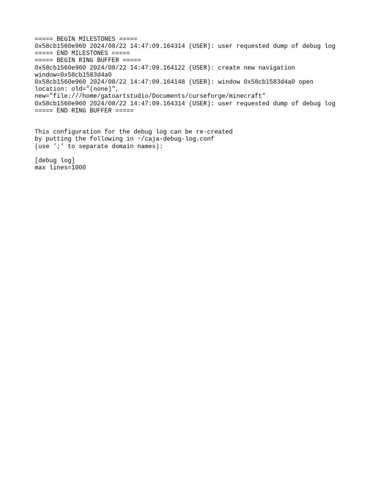 Caja Debug Log | PDF
