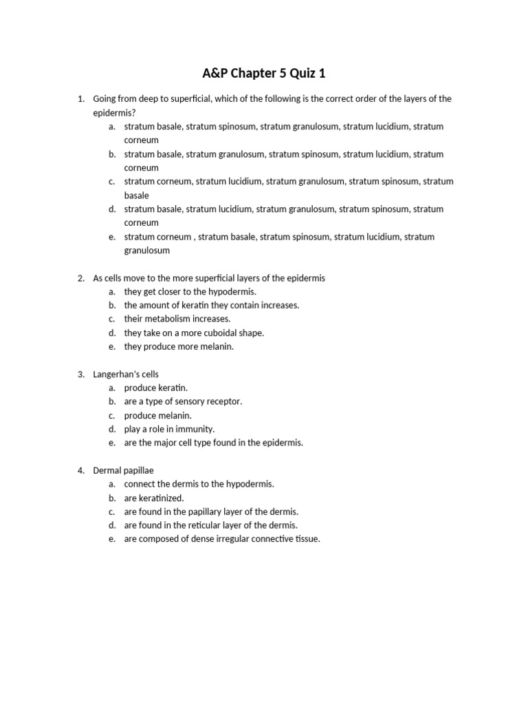 AnP Ch5 Quiz 1 | PDF