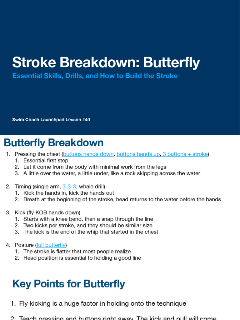 Launchpad Lesson #4d Butterfly | PDF