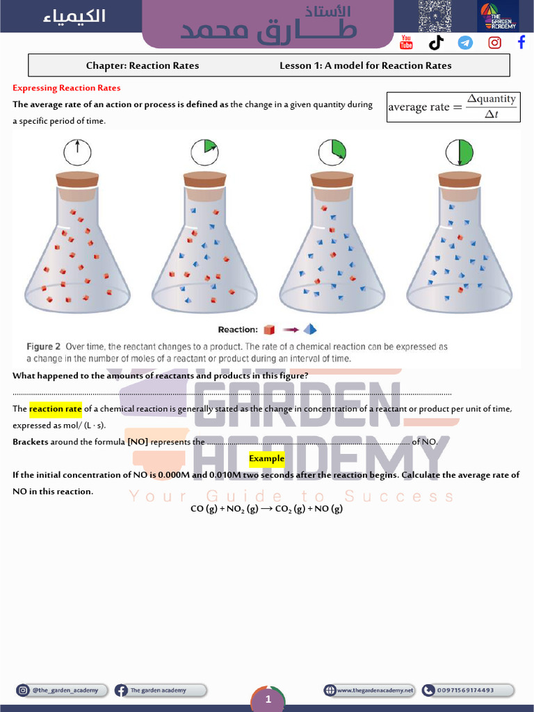 Chapter 2 Lesson 1 | PDF