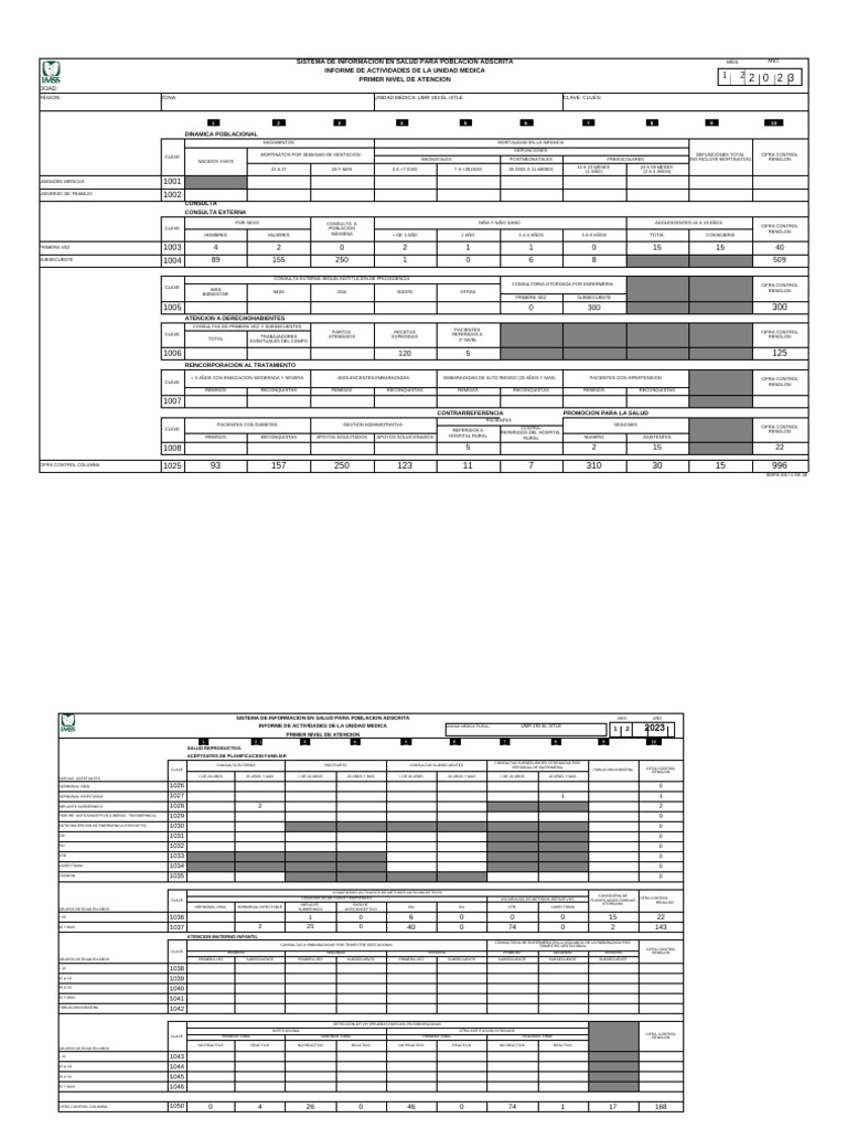 Formato Sispa - Ss - I 2022 | PDF