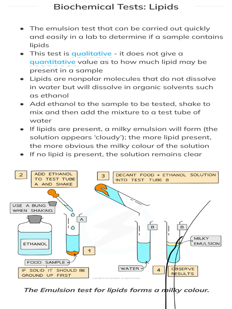 Biochemical Tests Lipids (1.2.4) AQA A Level Biology Revision Notes ...