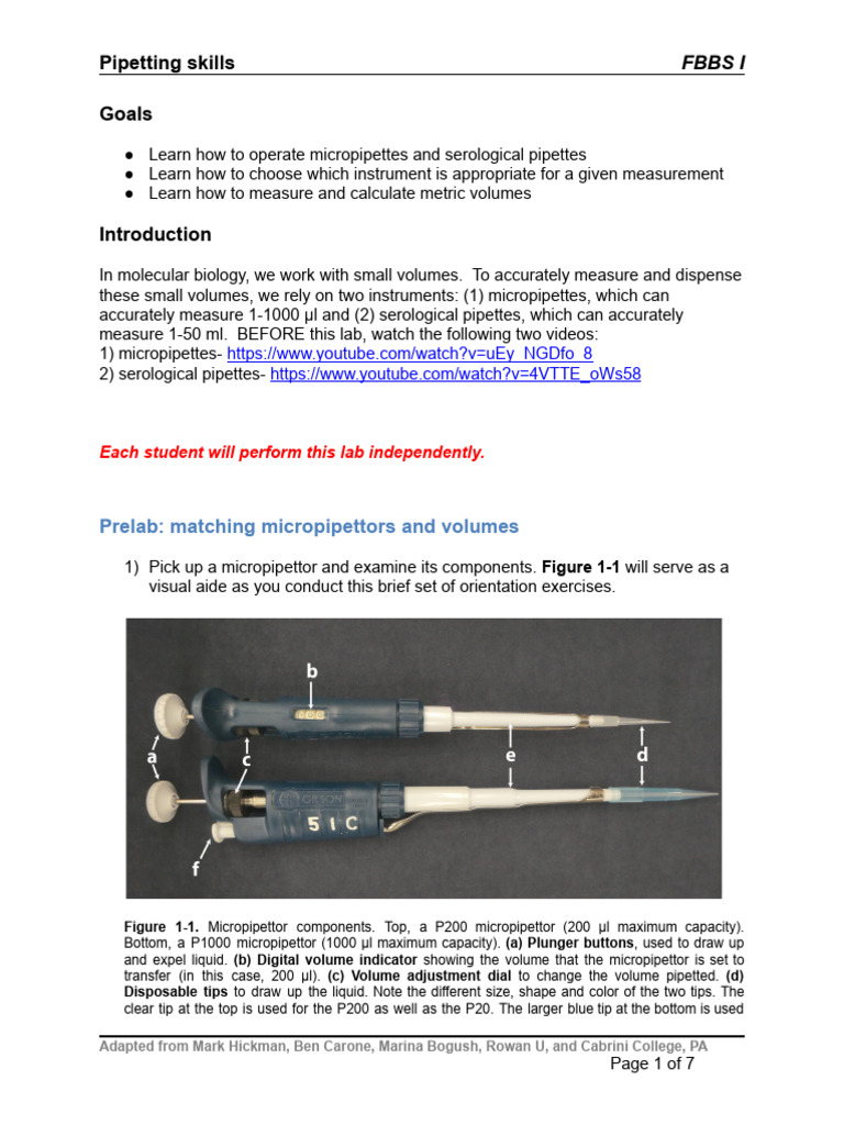 Pipetting Lab - Handout 2 | PDF