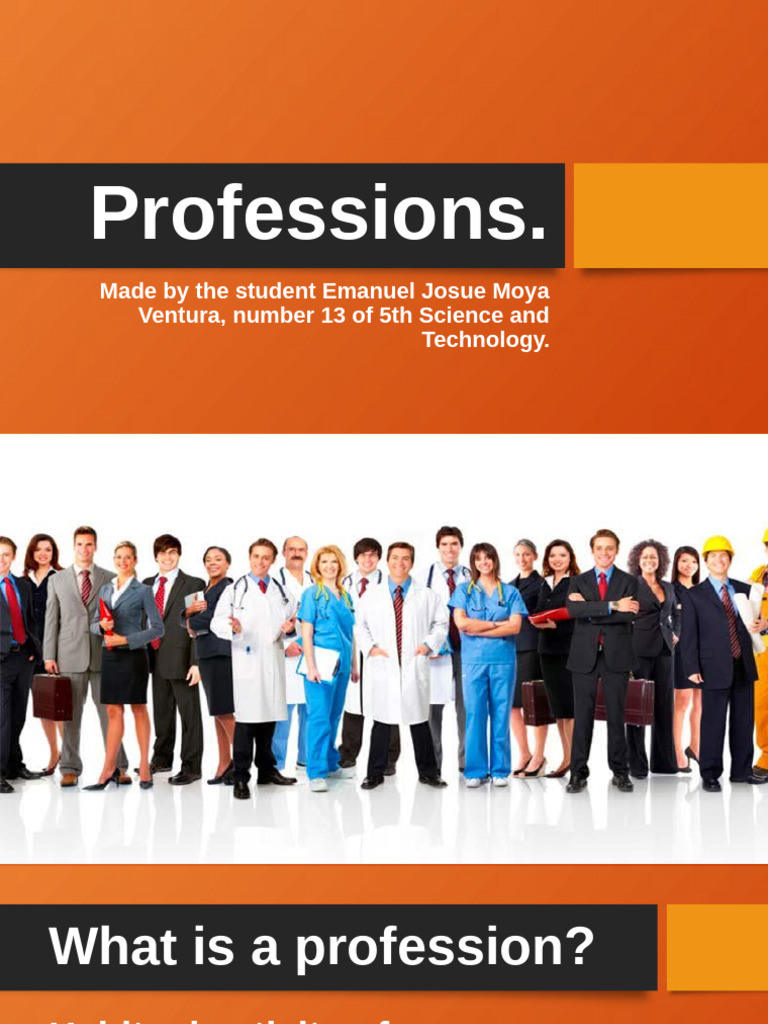 Professions | PDF