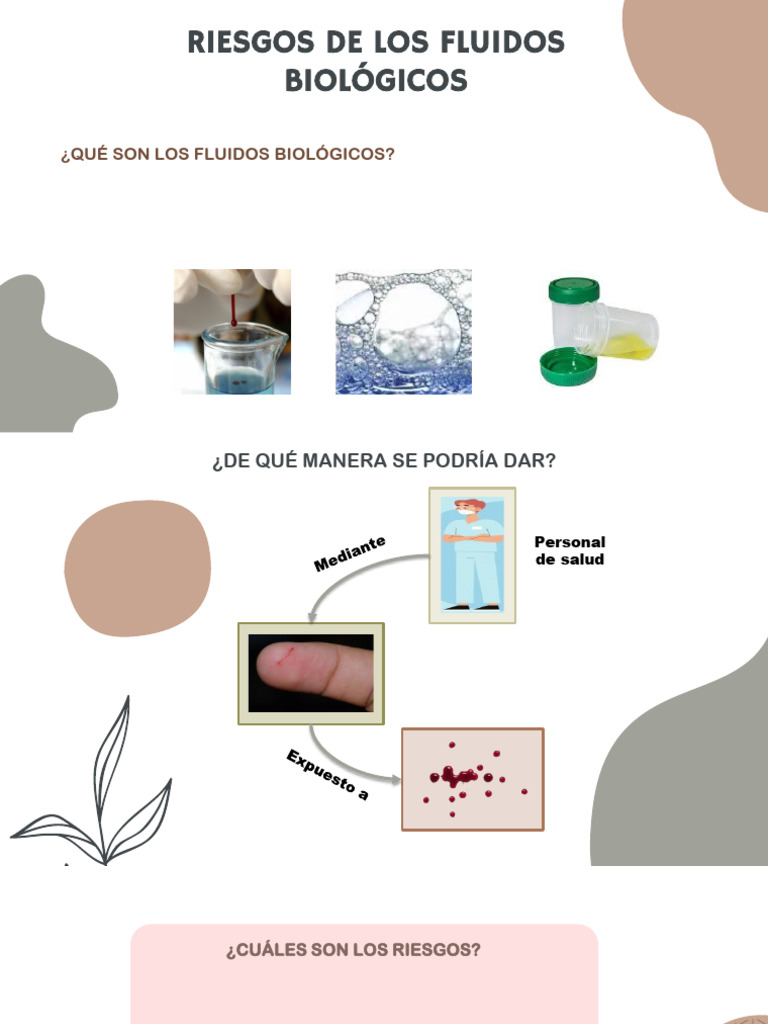 Física Práctica - Riesgos de Los Fluidos Biológicos | PDF