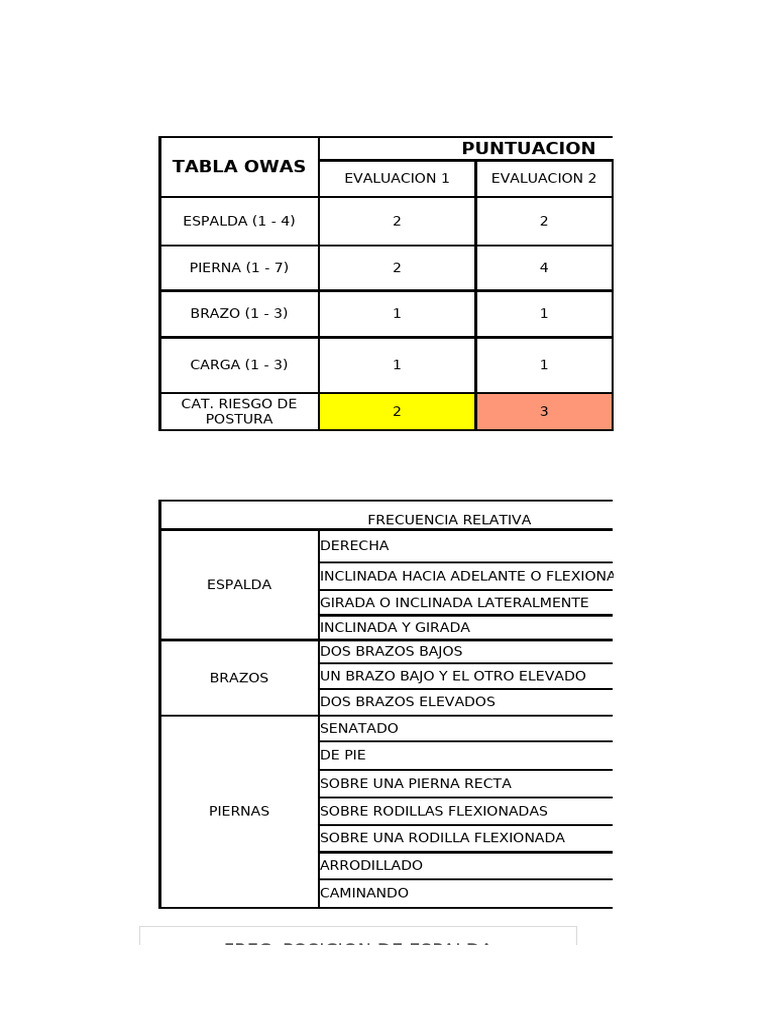 Metodo Owas | PDF