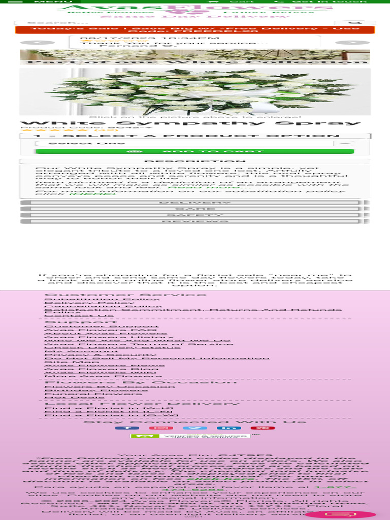 White Sympathy Spray Avas Flowers | PDF