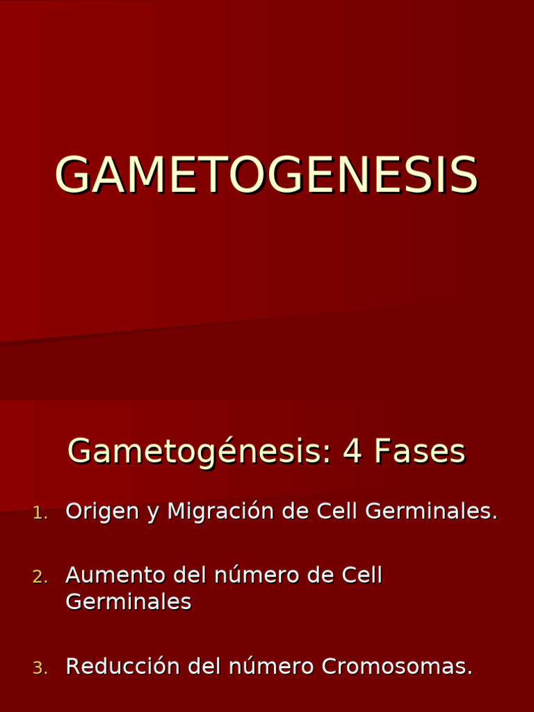 01 Gametogenesis | PDF