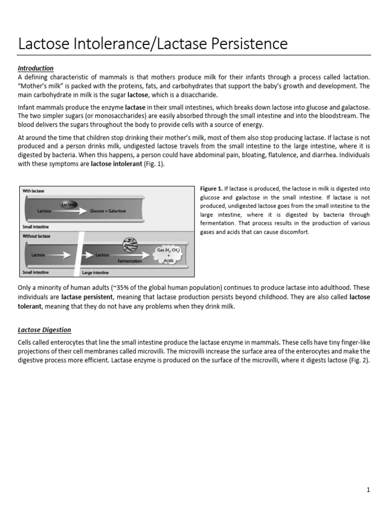 Lactose Intolerance Case Study For Final Exam-1 | PDF