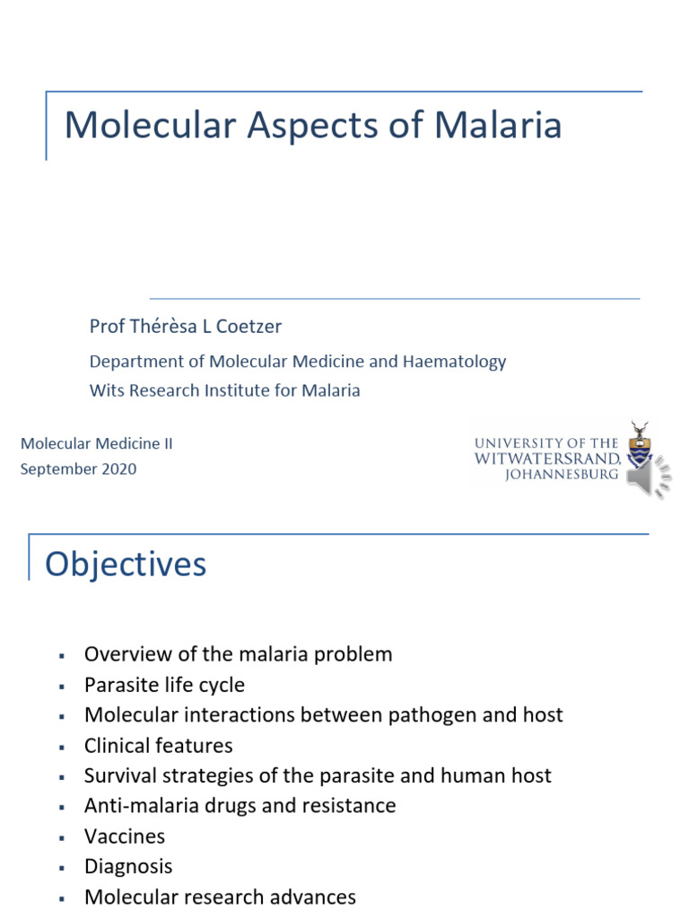 2 Malaria Lectures TL Coetzer | PDF