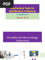 Biochemical Tests for Klebsiella pneumoniae | PDF | Staining