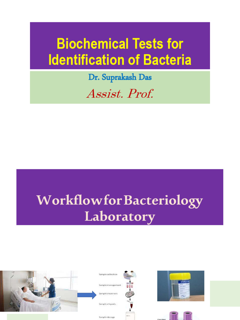 Biochemical Tests For Identification of Bacteria: Dr. Suprakash Das ...