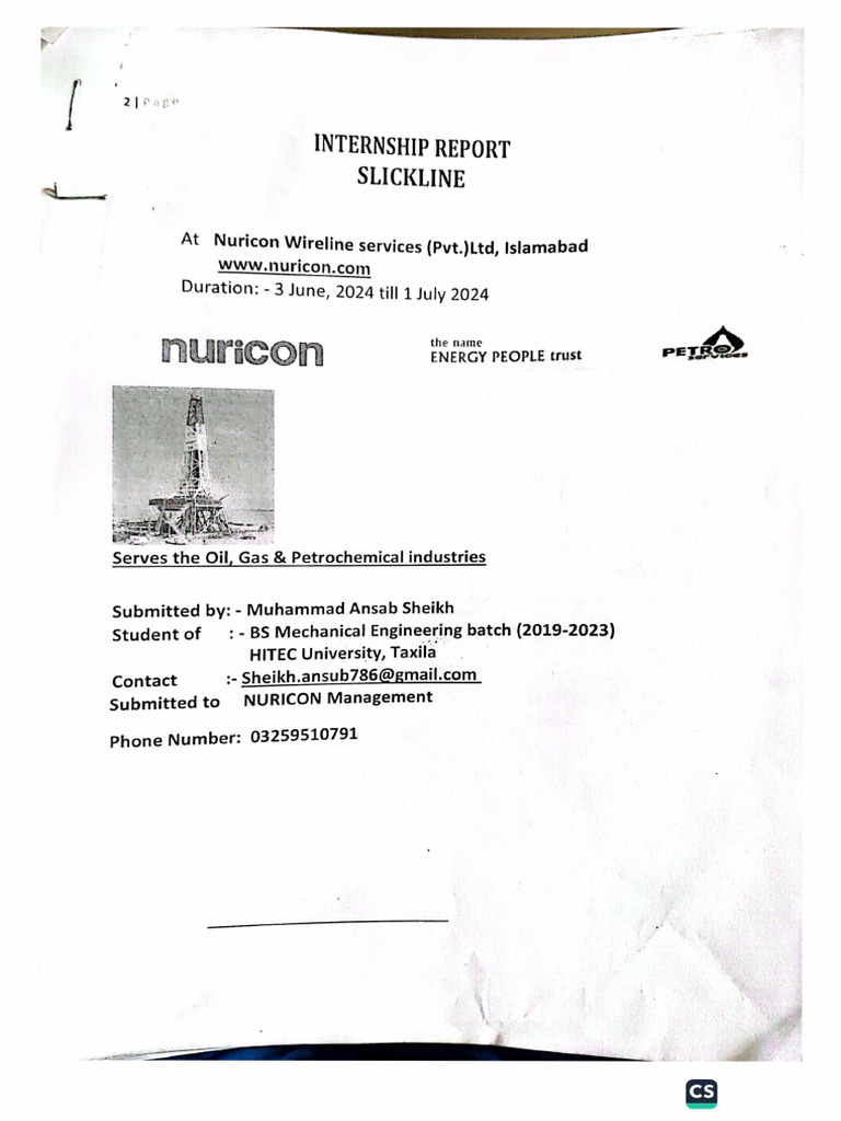 Internship - Reports - Nuricon Sample | PDF | Home & Garden | Computers