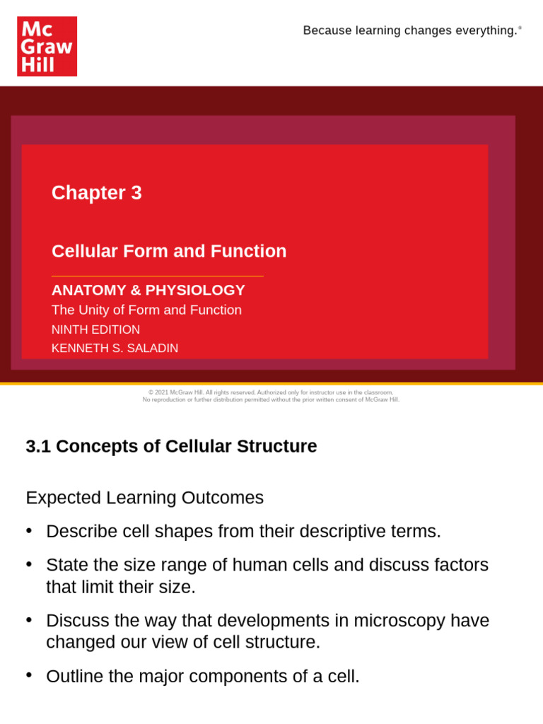 Saladin9e - Chapter 03 | PDF