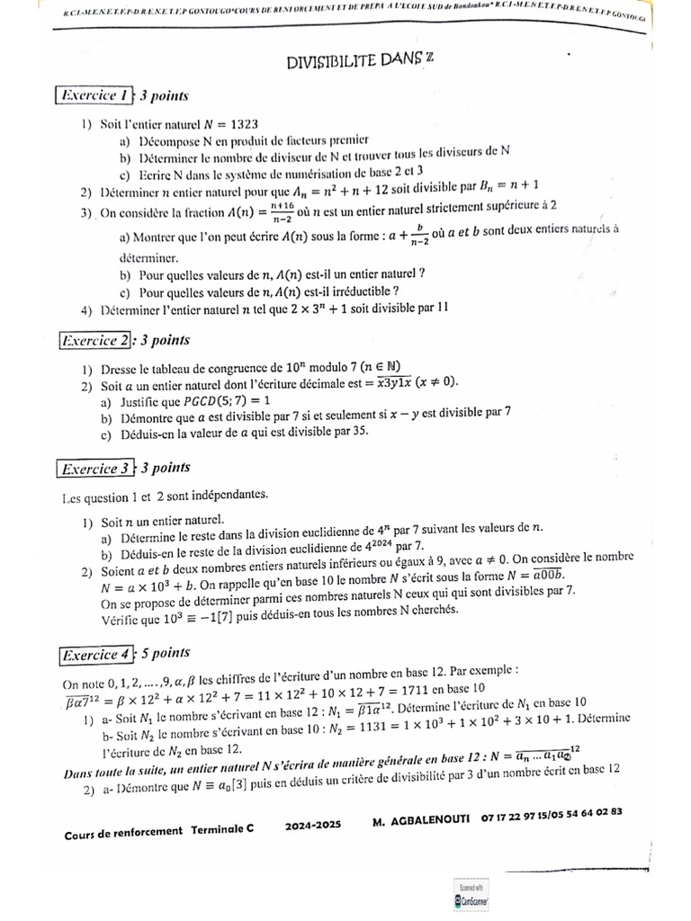 Dissert Correction French | PDF