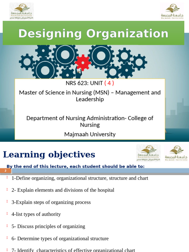 Designing Organization | PDF