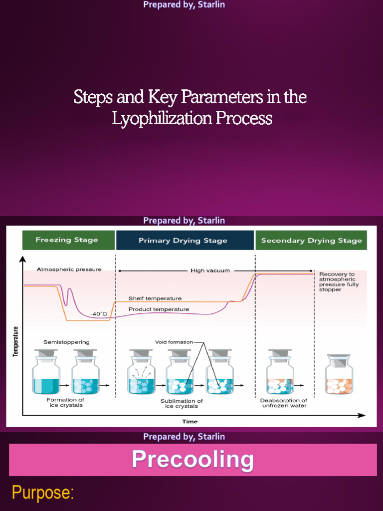 Steps and Key Parameters in the Lyophilization Process | PDF