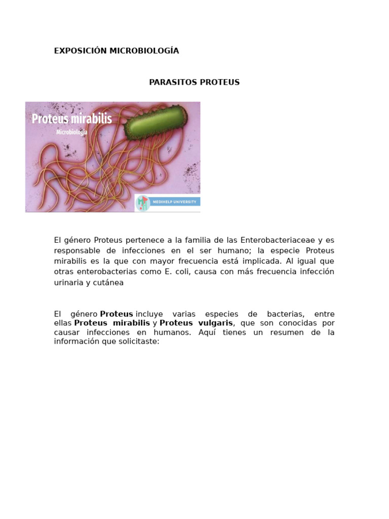 Exposición Microbiología Proteus | PDF | Salud y bienestar | Ciencia y ...