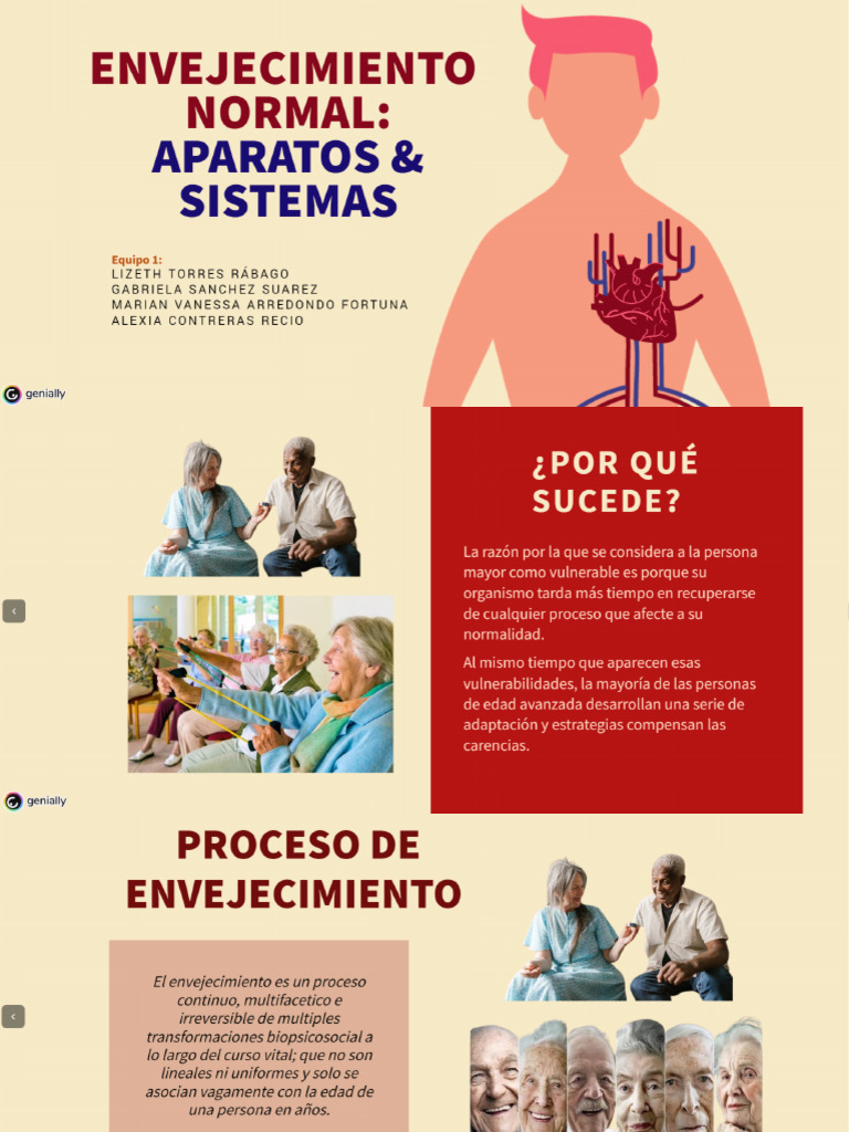 Envejecimiento Normal | PDF