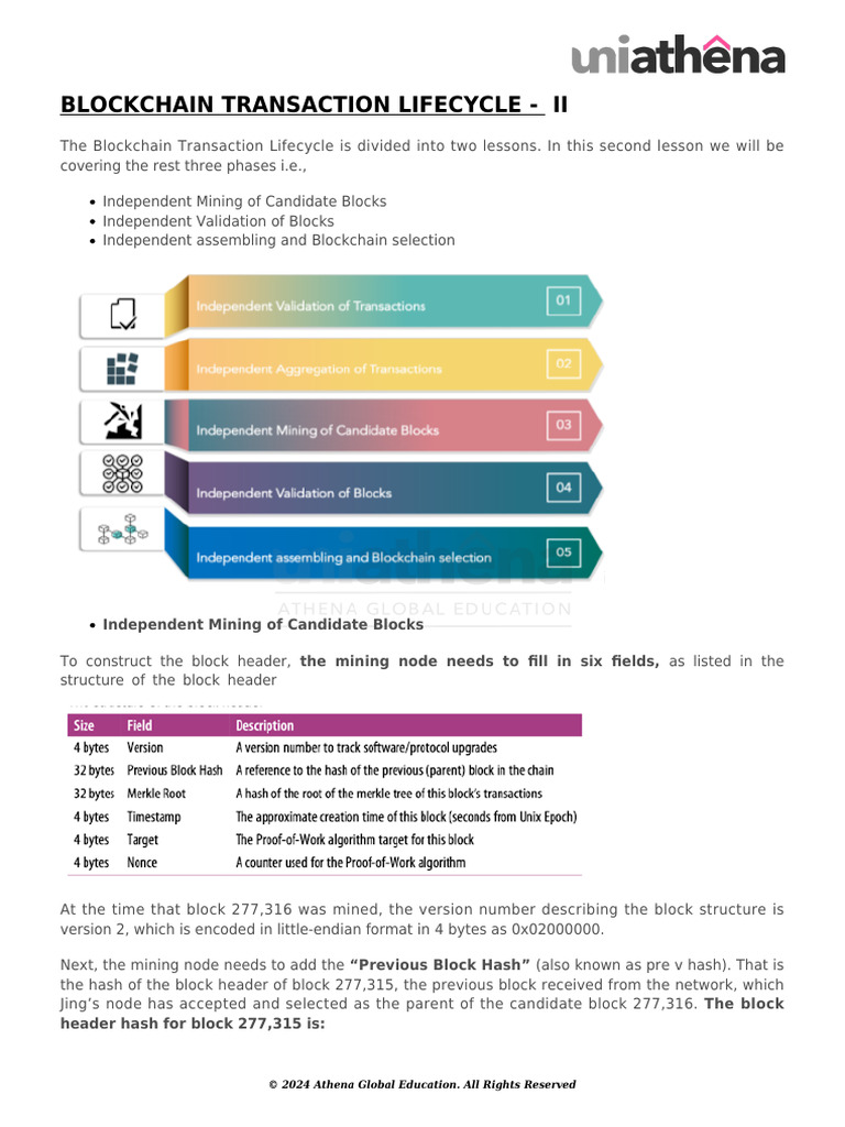 Blockchain Transaction Lifecycle Ii Pdf