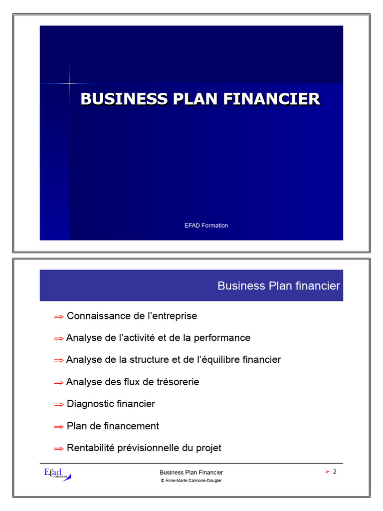 Business Plan Financier | PDF