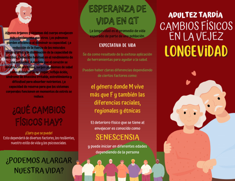 Adultez Tardía Cambios Físicos en La Vejez Longevidad | PDF