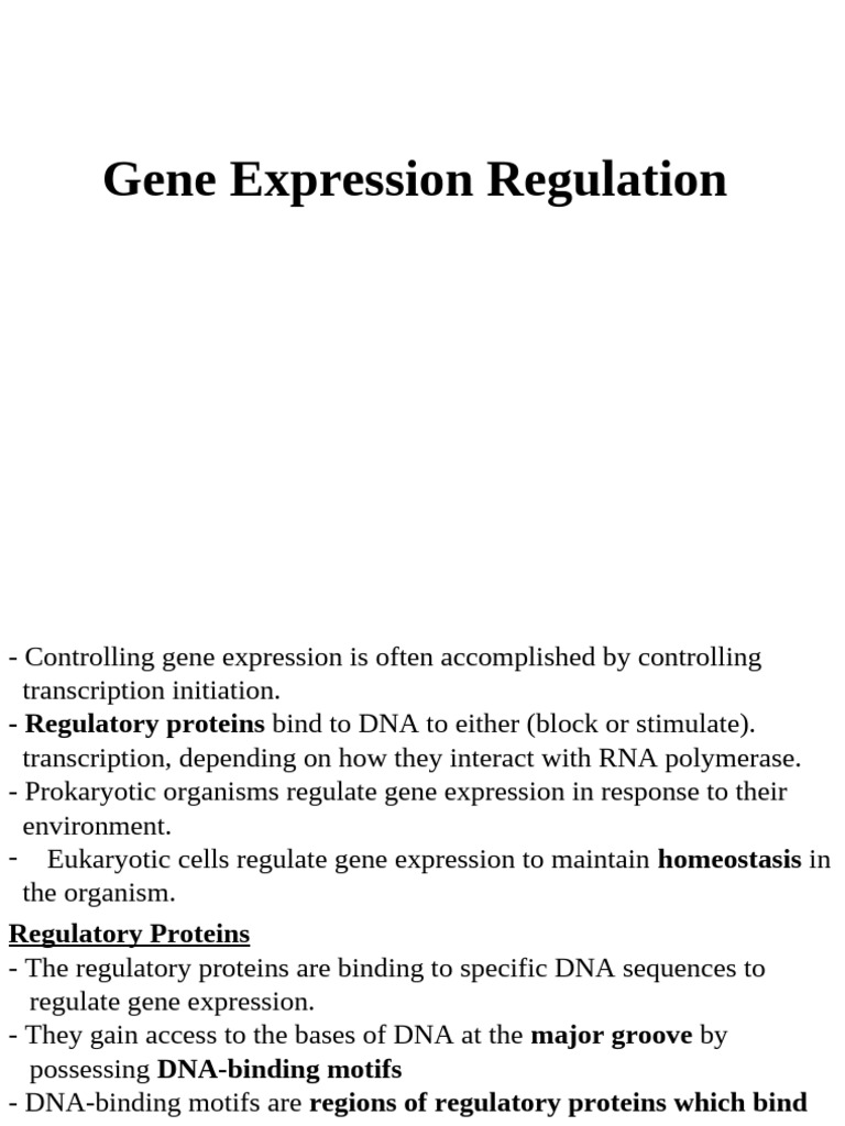 Gene Expression Regulation | PDF