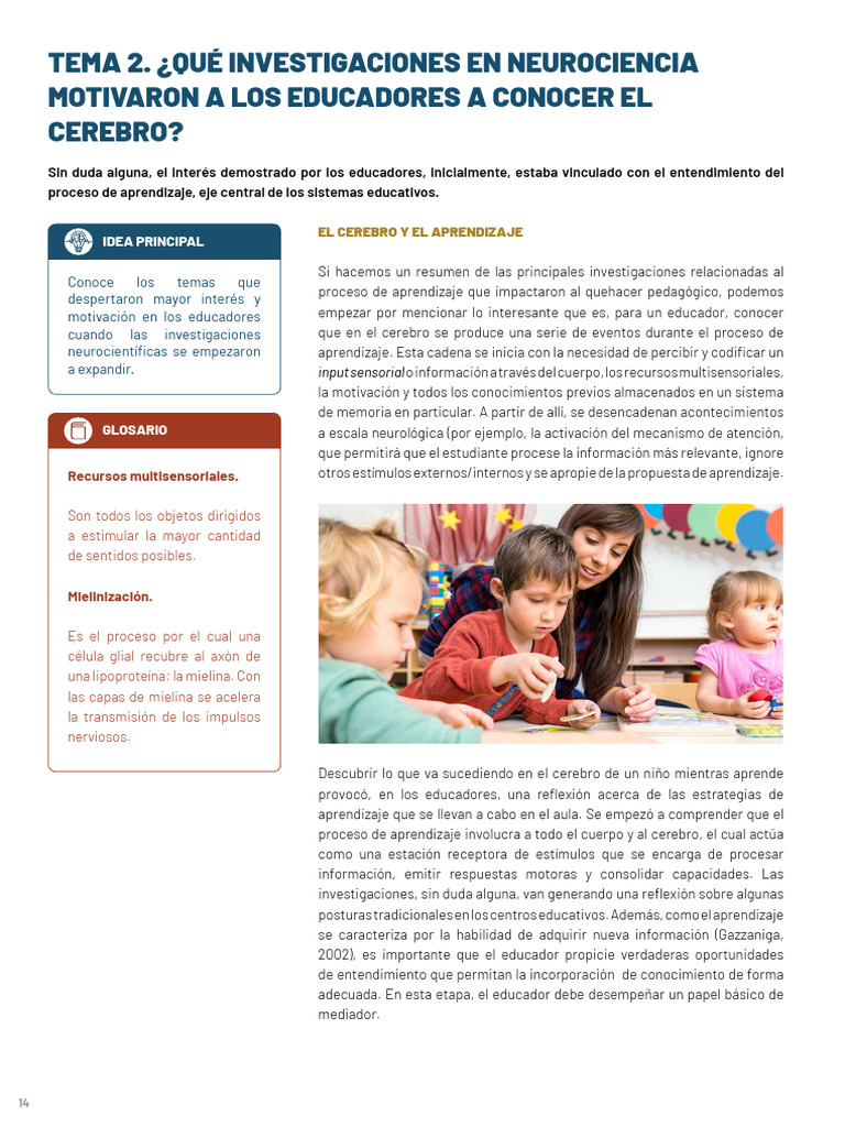 El Cerebro Y El Aprendizaje Pdf