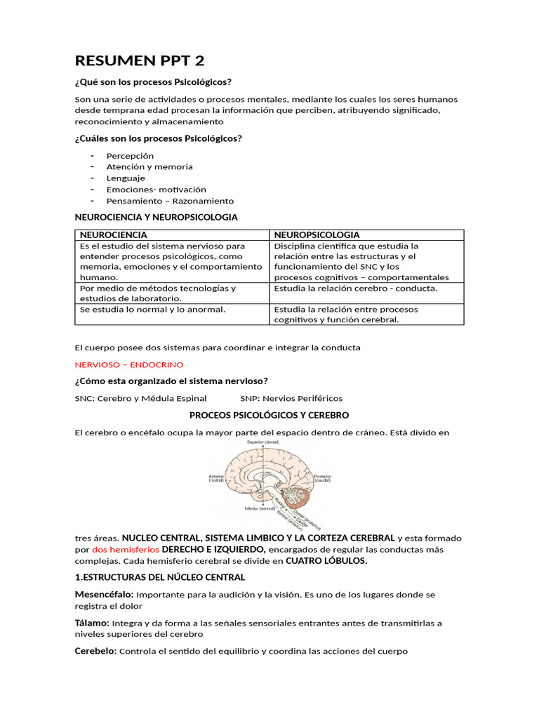 Procesos Psicológicos y Neurociencia | PDF | Percepción | Cerebro