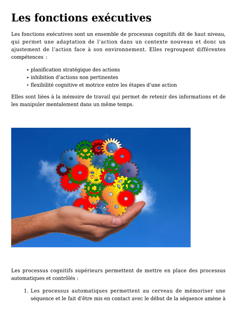 Les Fonctions Exécutives | PDF
