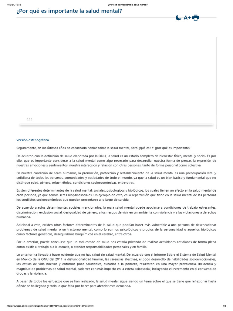 ¿Por Qué Es Importante La Salud Mental | PDF