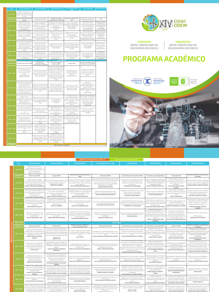 Programa Academico | PDF